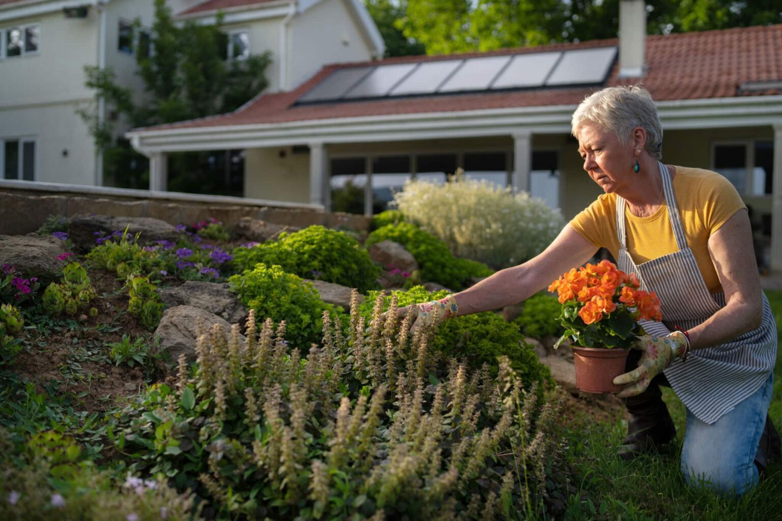 Ready for Solar? – Spark Energy